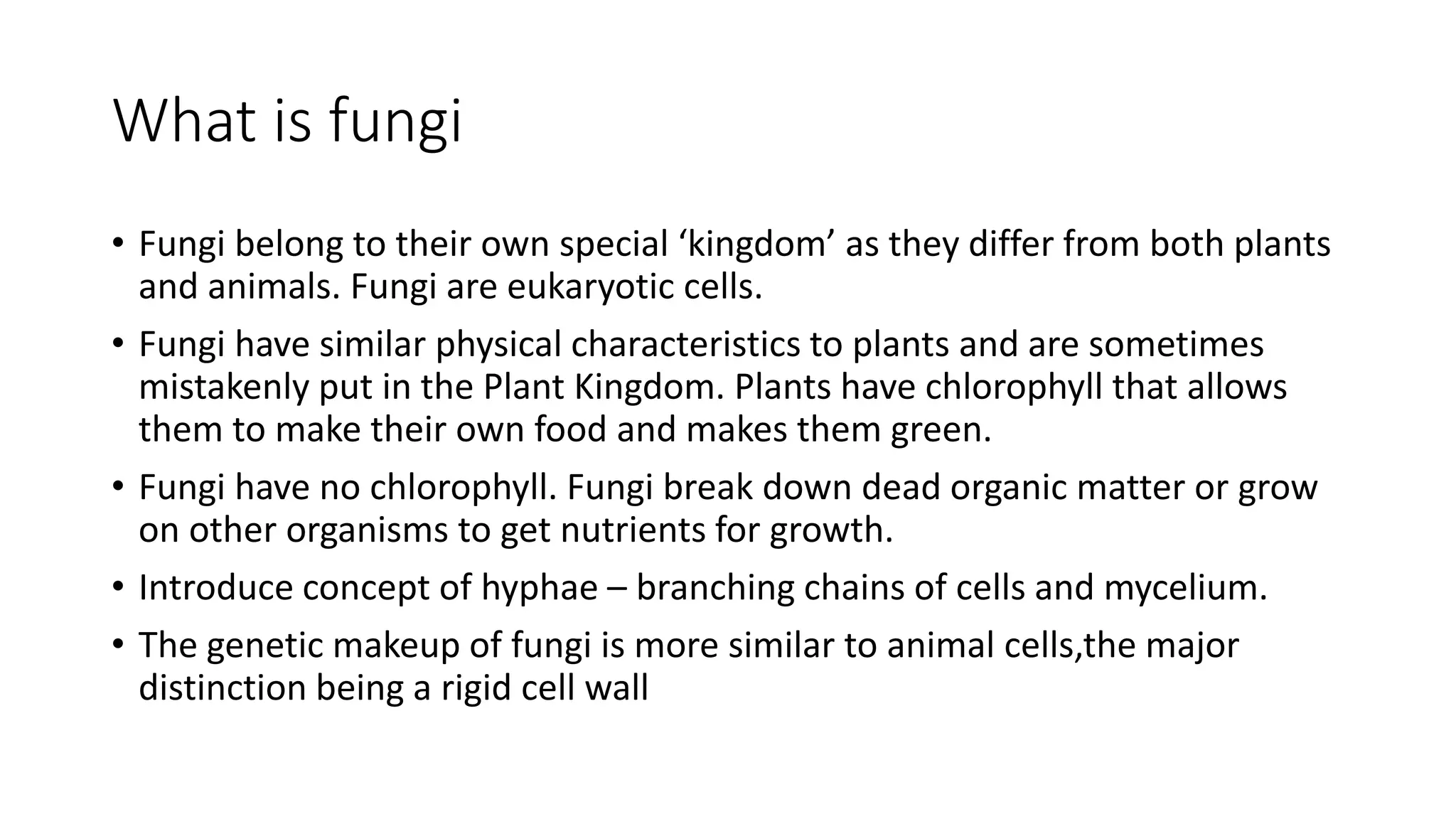 Role of fungi in industry | PPTX