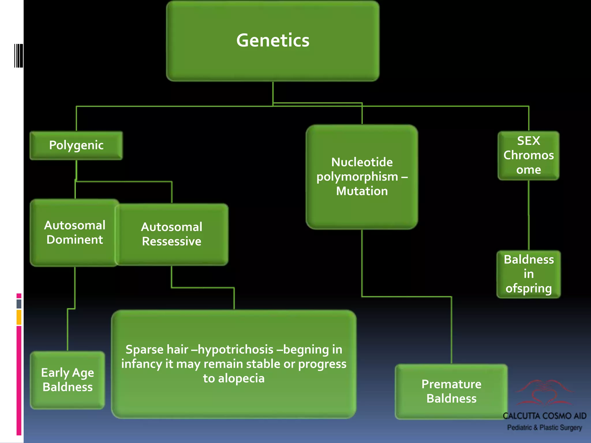 Role of Genes in Baldness | PPTX
