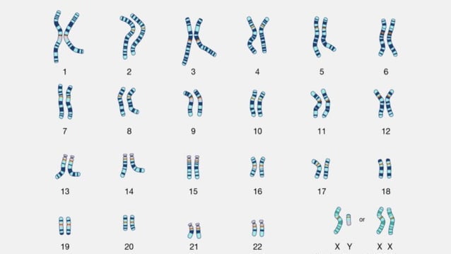role of genes in psychology.pptx for a level students | PPTX