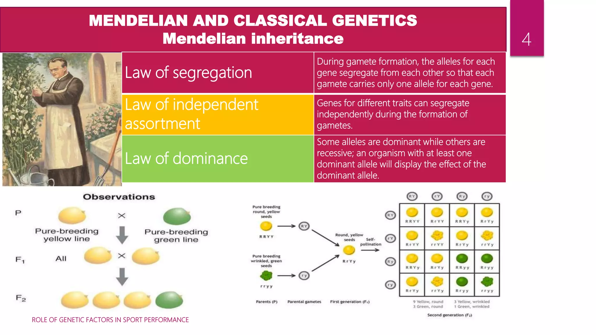 Role of genetic factors in sport performance, short course | PPTX