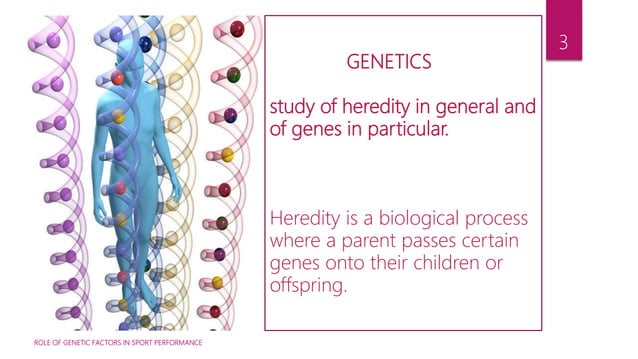 Role of genetic factors in sport performance, short course | PPTX ...