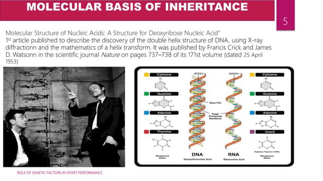 Role of genetic factors in sport performance, short course | PPTX ...