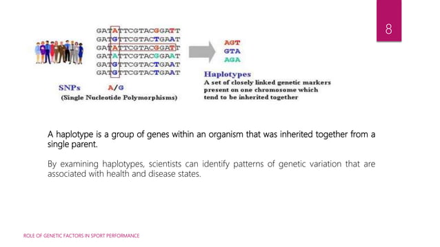 Role of genetic factors in sport performance, short course | PPTX ...