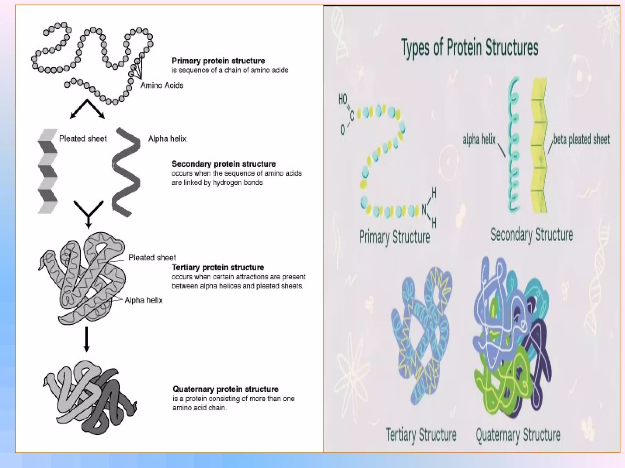 Role of genomics proteomics, and bioinformatics. | PDF