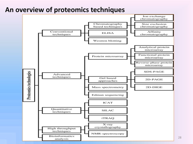 Role of genomics proteomics, and bioinformatics. | PDF