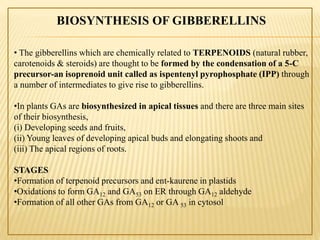 Role of Gibberellins, mode of action and external applications.pptx