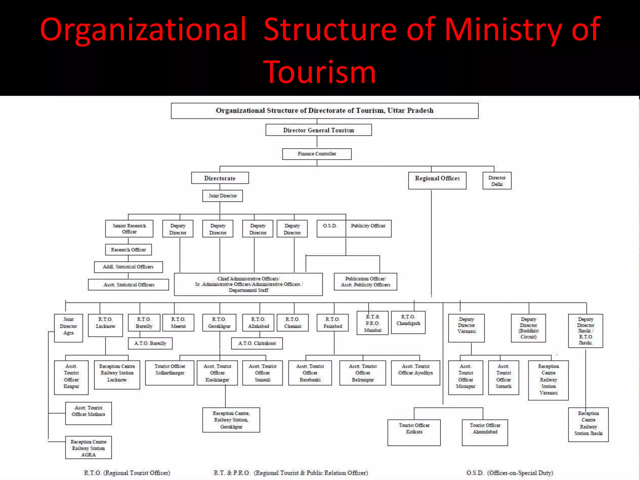 Role of Government in Tourism | PPTX