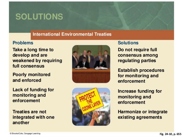 Role of govt in environment