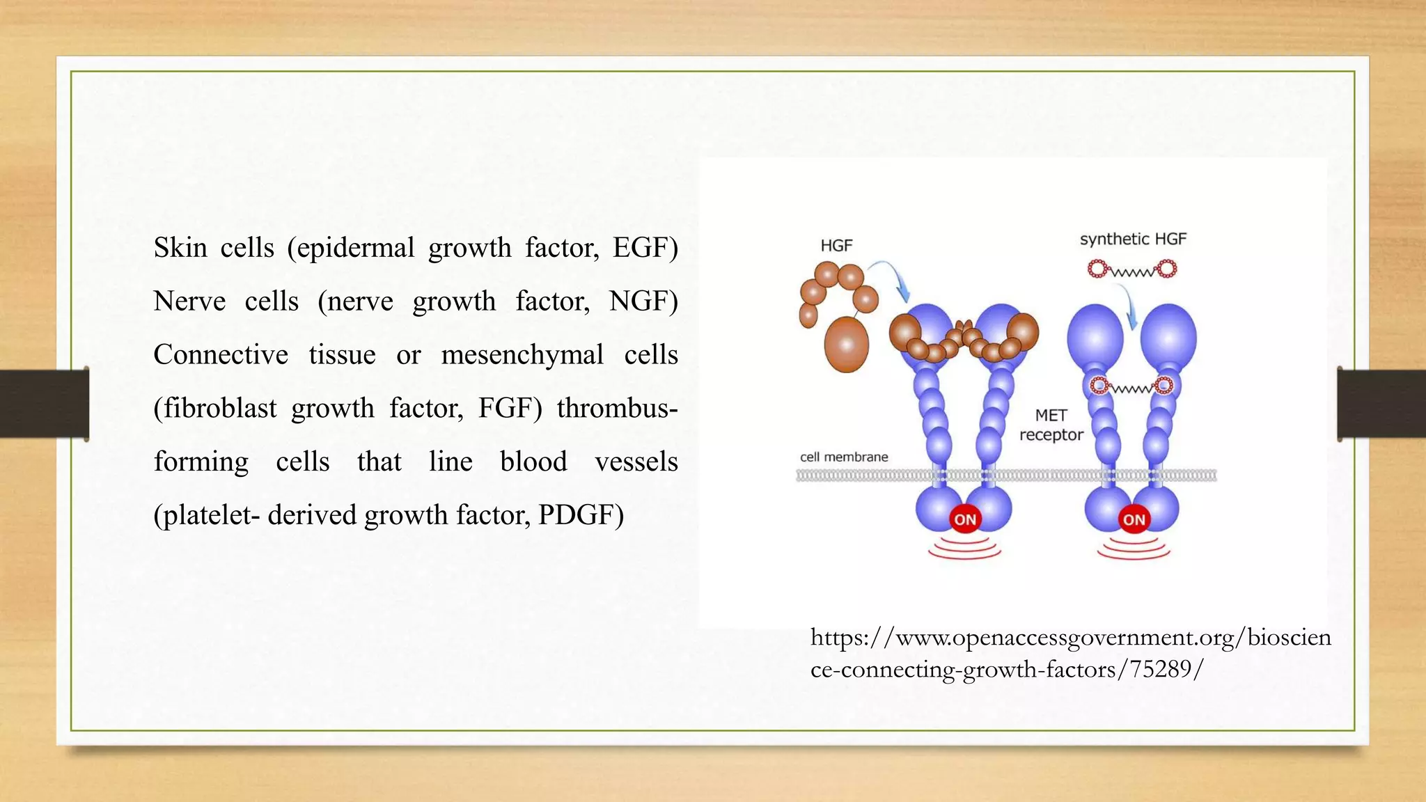 Role of growth factors in a tissue engineered.pptx