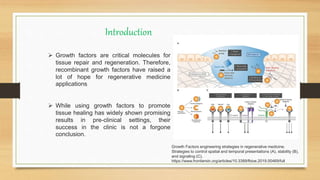 Role of growth factors in a tissue engineered.pptx