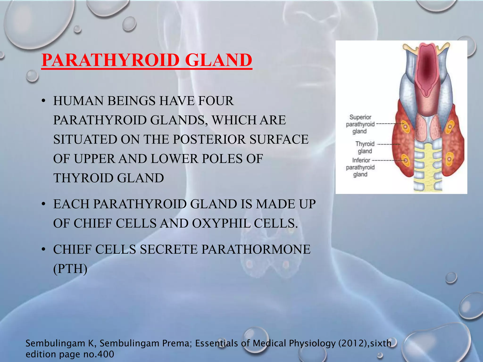 role of harmones and vitamins in craniofacial growth and development | PPTX
