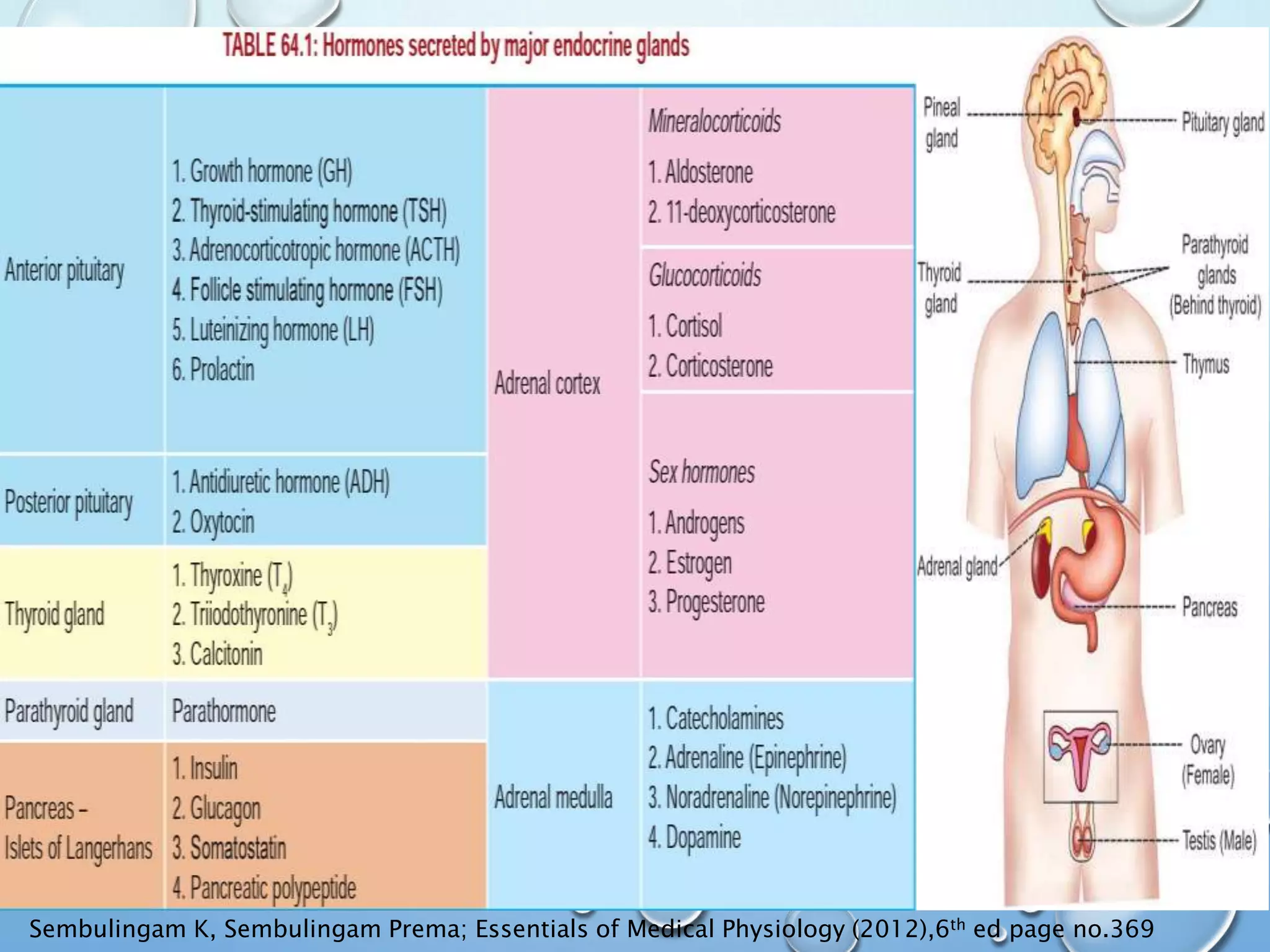 role of harmones and vitamins in craniofacial growth and development | PPTX