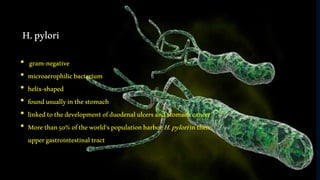 Role of helicobacter pylori in gastric cancer | PPTX