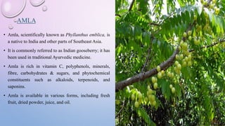 Role of herbs in hair care Amla and heena.pptx