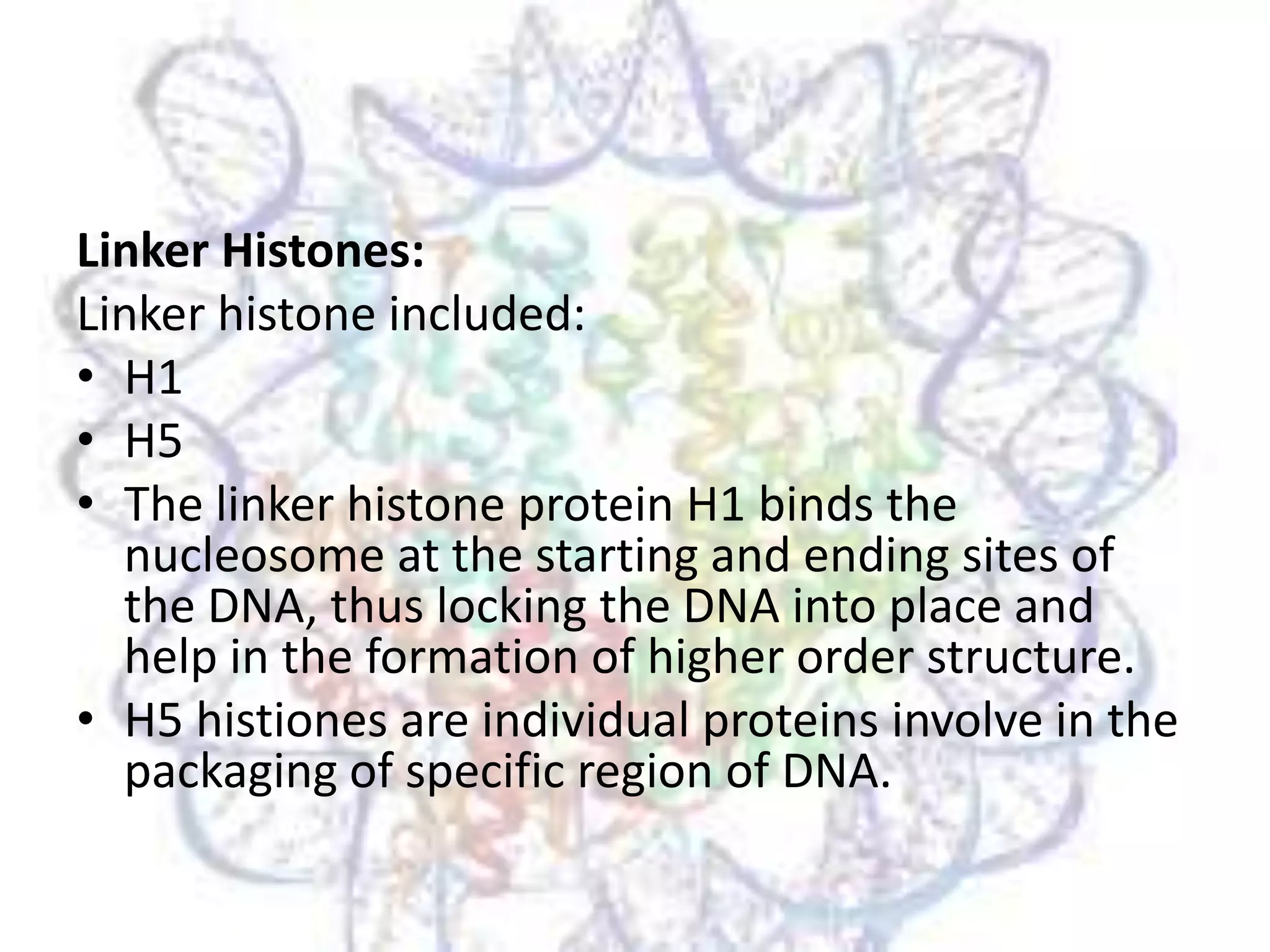 Role of Histone in DNA packaging | PPTX