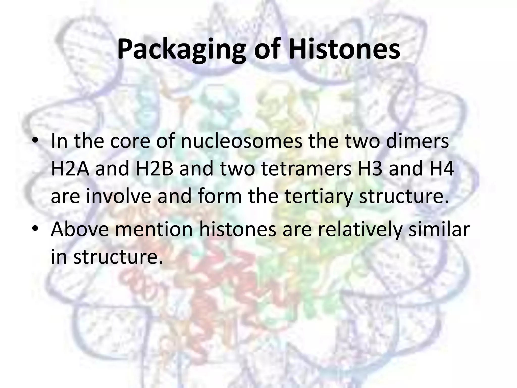Role of Histone in DNA packaging | PPTX