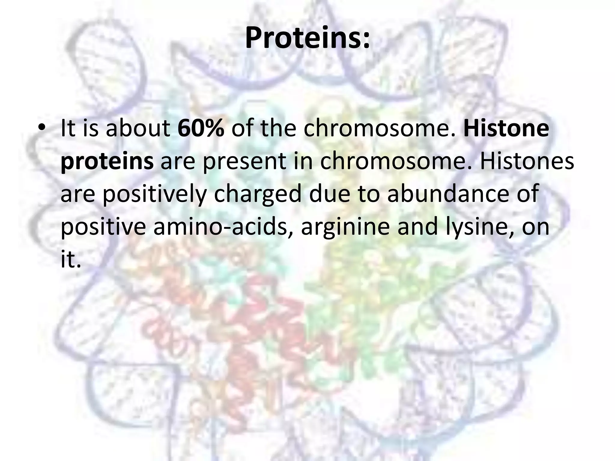 Role of Histone in DNA packaging | PPTX