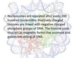 Role of Histone in DNA packaging | PPTX