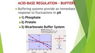 ROLE OF HOMEOSTASIS IN CLINICAL CHEMISTRY.pptx | Chemistry | Science
