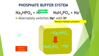 ROLE OF HOMEOSTASIS IN CLINICAL CHEMISTRY.pptx