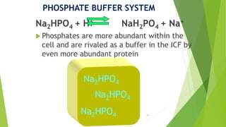 ROLE OF HOMEOSTASIS IN CLINICAL CHEMISTRY.pptx