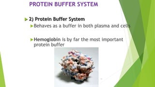 ROLE OF HOMEOSTASIS IN CLINICAL CHEMISTRY.pptx | Chemistry | Science
