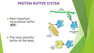 ROLE OF HOMEOSTASIS IN CLINICAL CHEMISTRY.pptx | Chemistry | Science