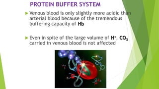 ROLE OF HOMEOSTASIS IN CLINICAL CHEMISTRY.pptx