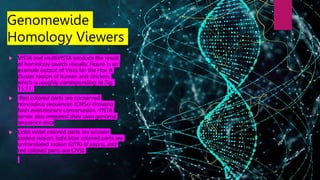 Role Of Homology In Molecular Evolution.pptx