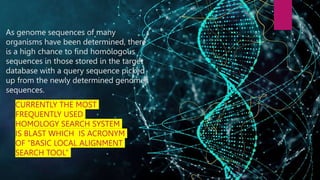 Role Of Homology In Molecular Evolution.pptx