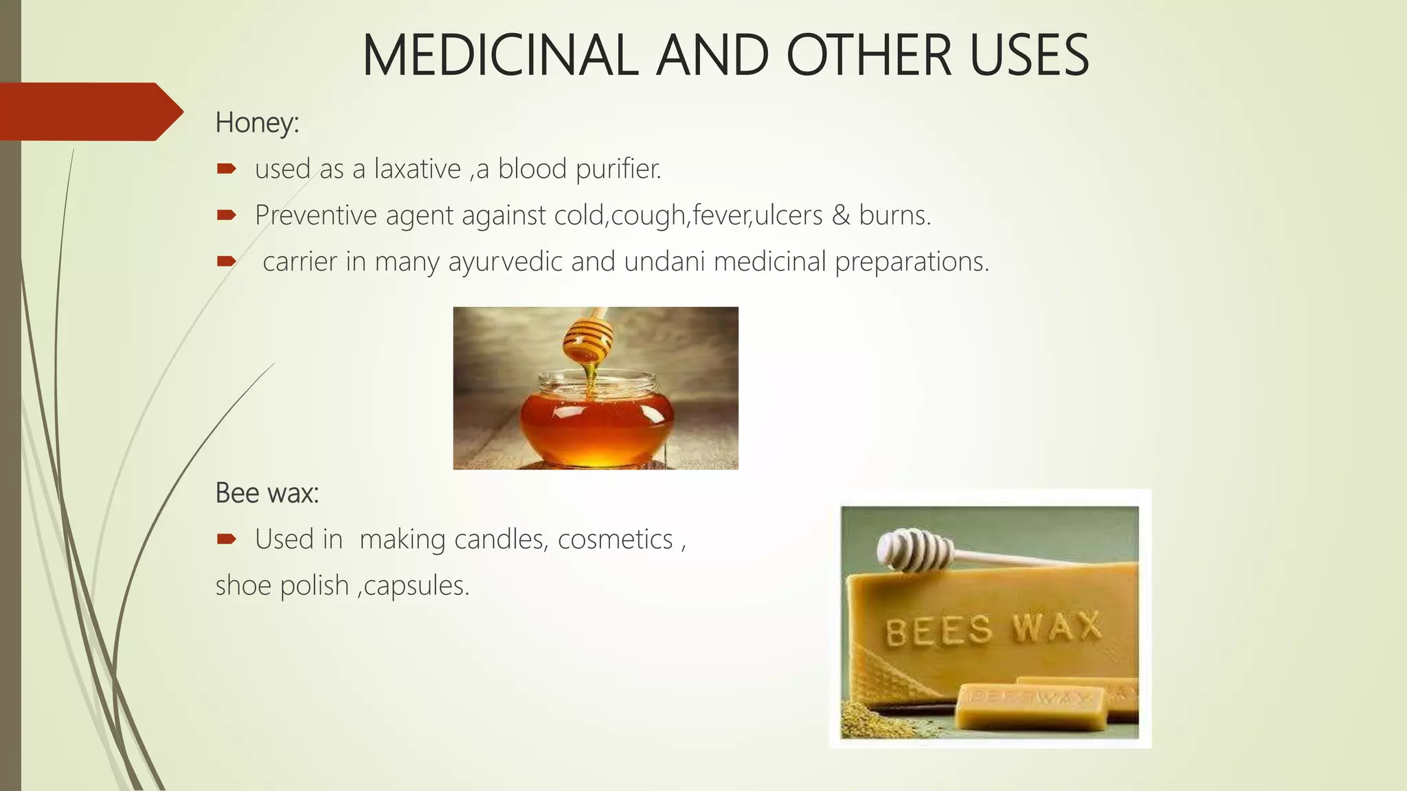 Types and Role of honey bees in agriculture and medicine | PPTX