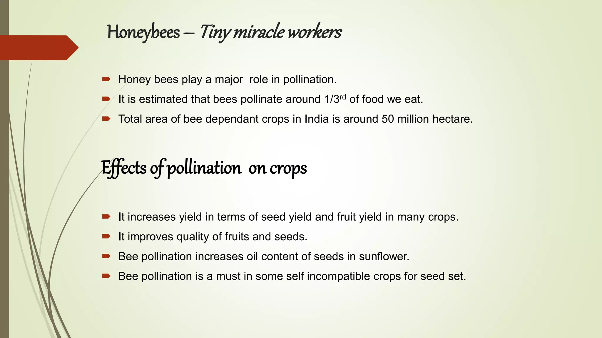 Types and Role of honey bees in agriculture and medicine | PPTX