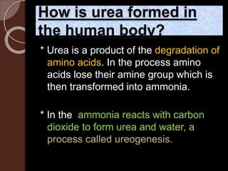 Role of hormones | PPTX