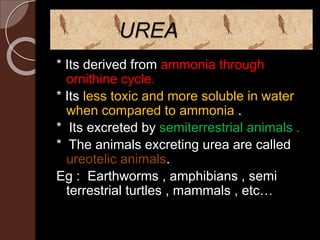 Role of hormones | PPTX