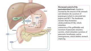 Role of hormones in digestion | PPT