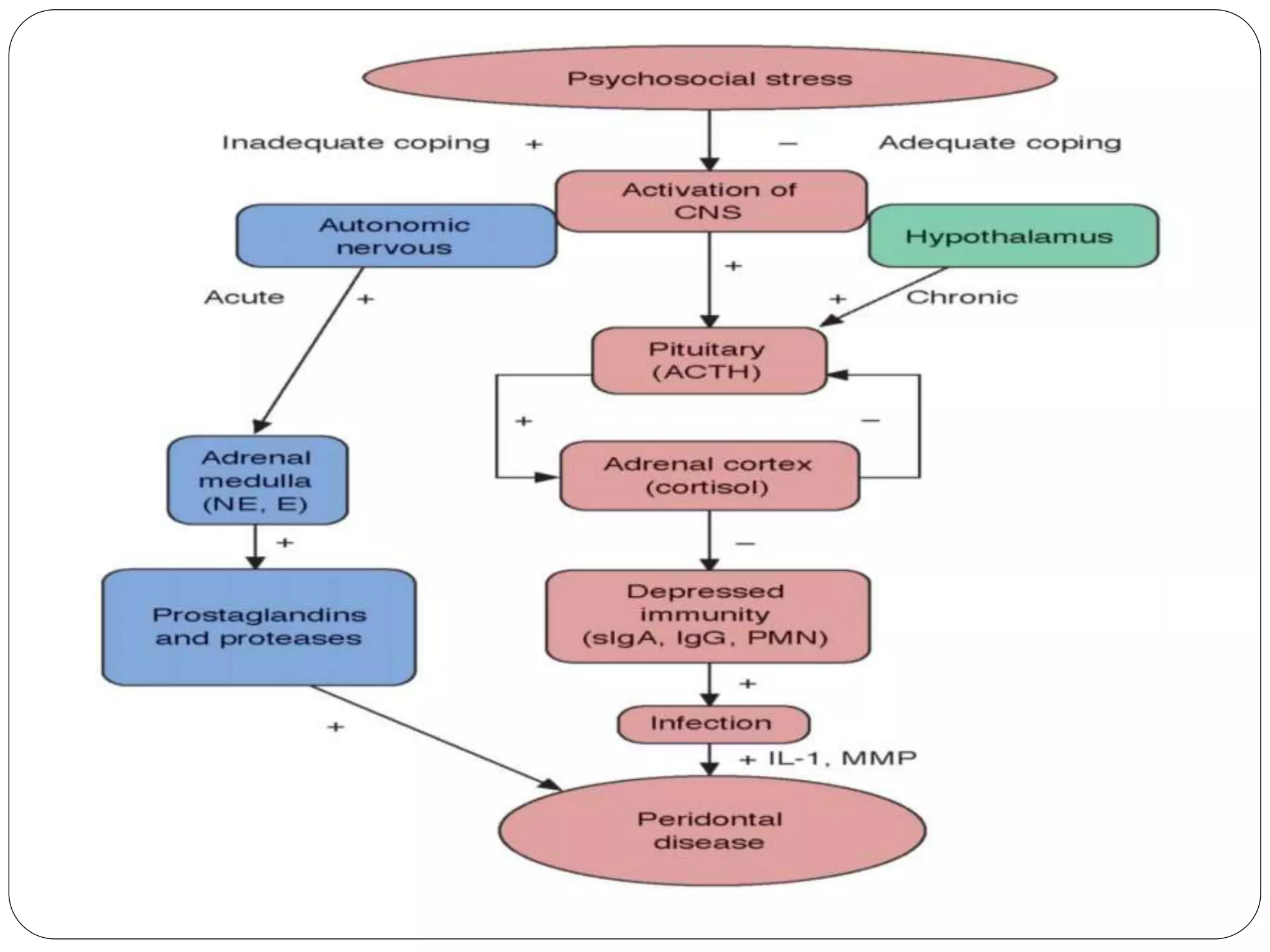 Role of hormones in periodontal health and disease | PPTX