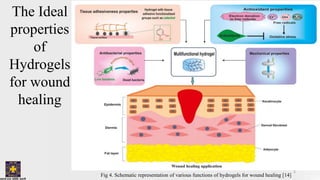 Role of Hydrogel in Wound Healing - Copy.pptx