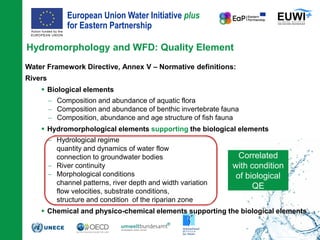 The Role of Hydromorphology in WFD. The Relation of Biology and ...