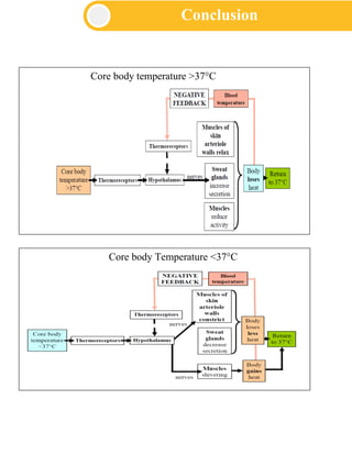 Role of hypothalamus in regulation of body temperature | PDF