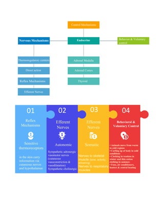 Role of hypothalamus in regulation of body temperature | PDF