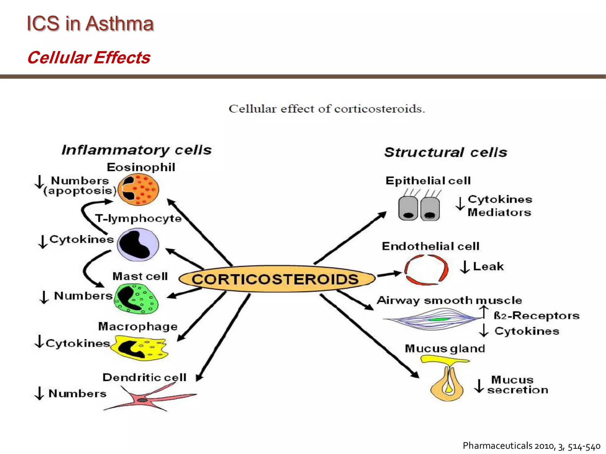 Role of ICS in Asthma and COPD | PDF