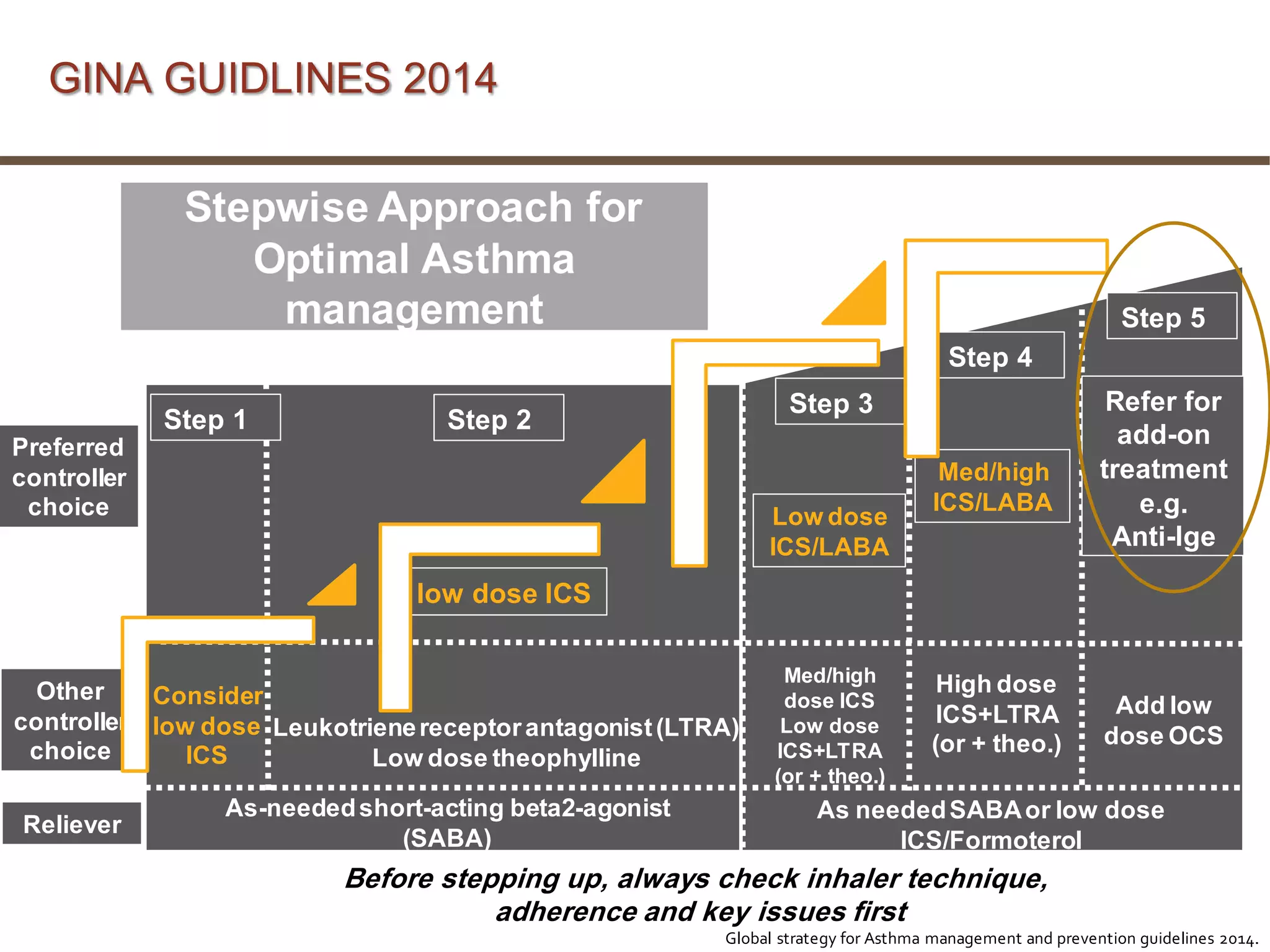 Role of ICS in Asthma and COPD | PDF