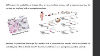 Role of ihc | PPTX