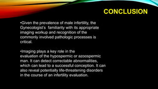 Role of Imaging in Male Infertility | PPTX