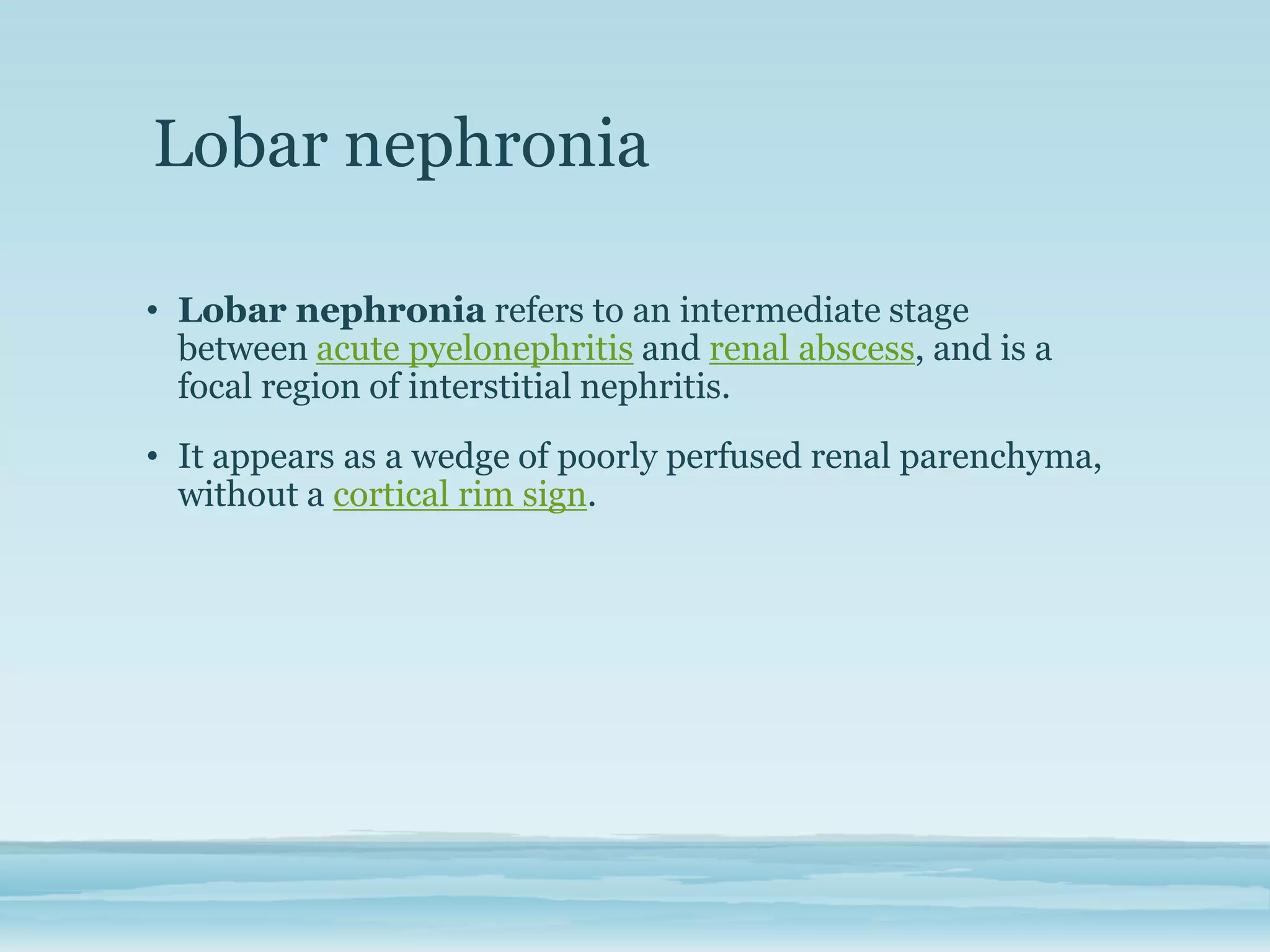 Role of imaging in renal tuberculosis | PPTX