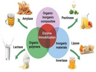 Role of immobilized Enzymes in Food industry | PPTX