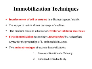 Role of immobilized Enzymes in Food industry | PPTX