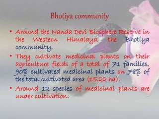 Role of indigenous people in biodiversity conservation | PPTX