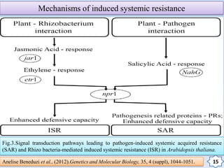 Role of Induced Systemic Resistance (ISR)In Plant Disease Management | PDF