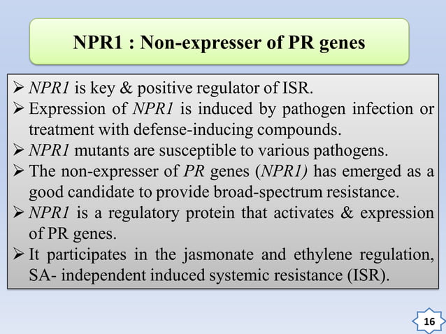 Role of Induced Systemic Resistance (ISR)In Plant Disease Management | PDF